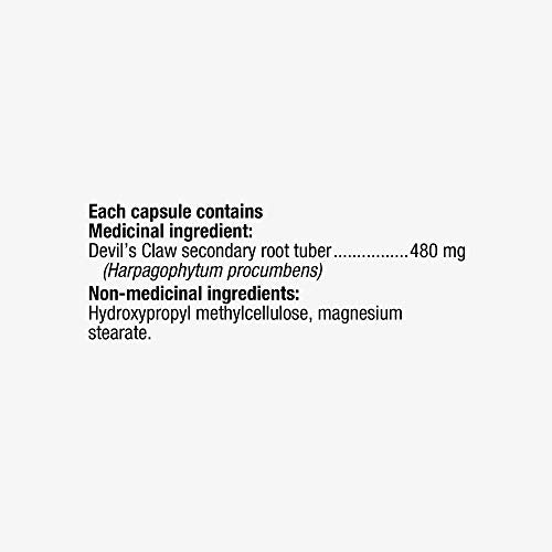 Natural pain relief supplement