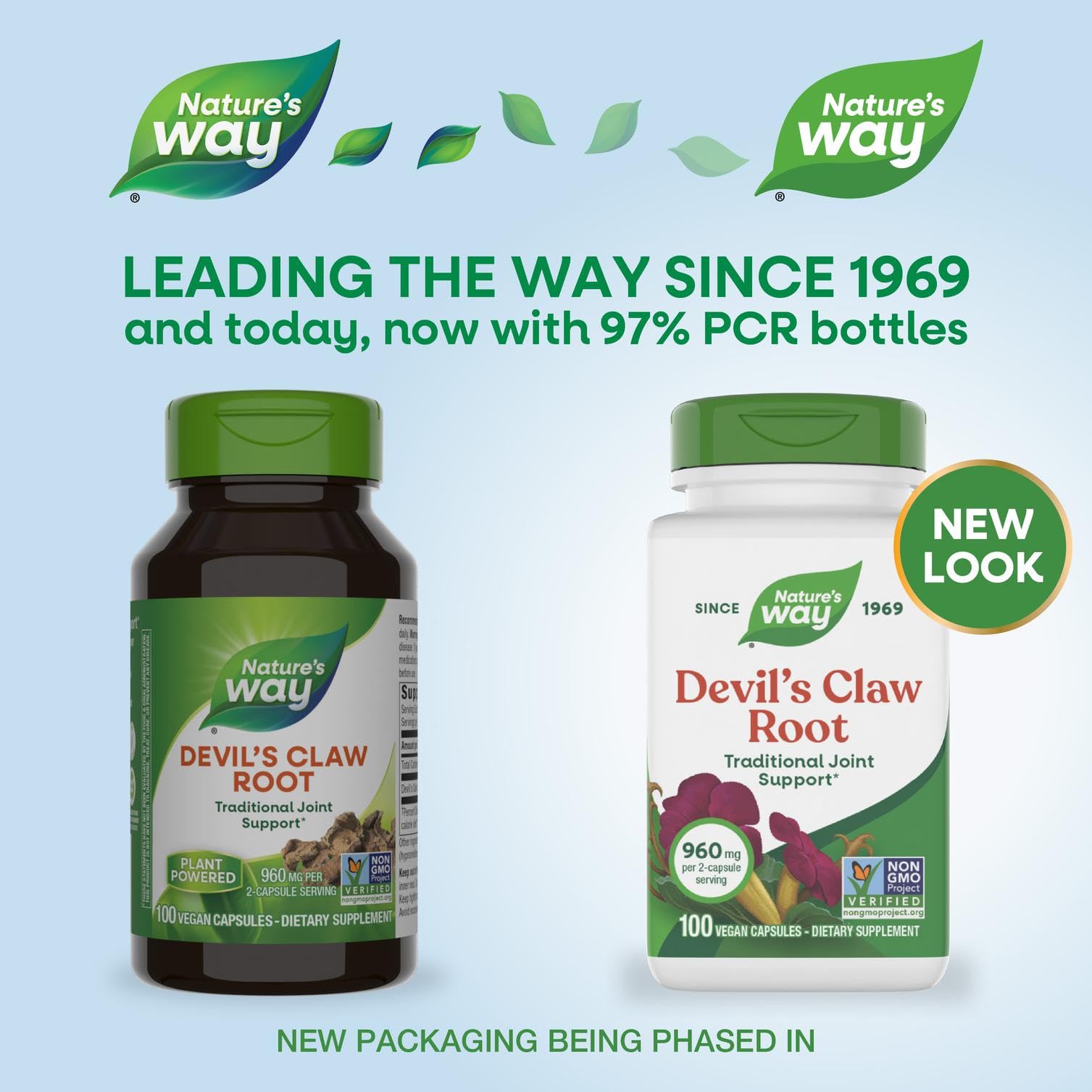 Natural pain relief with Devil's Claw root