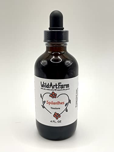 natural pain relief with echinacea extract