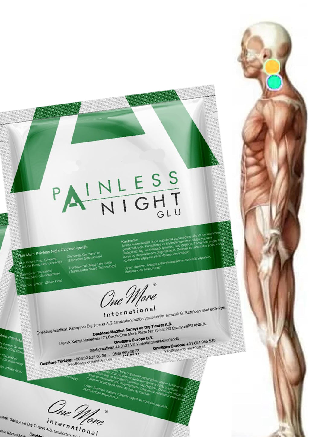 natural pain relief with ginseng