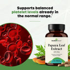 Natural papaya leaf supplement