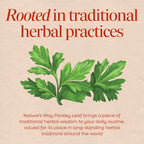 natural parsley leaf health benefits