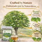 natural Pata de Vaca herbal tea