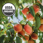 Natural peach iced tea beverage