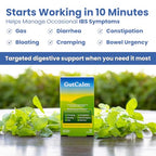 natural peppermint oil capsules for digestion