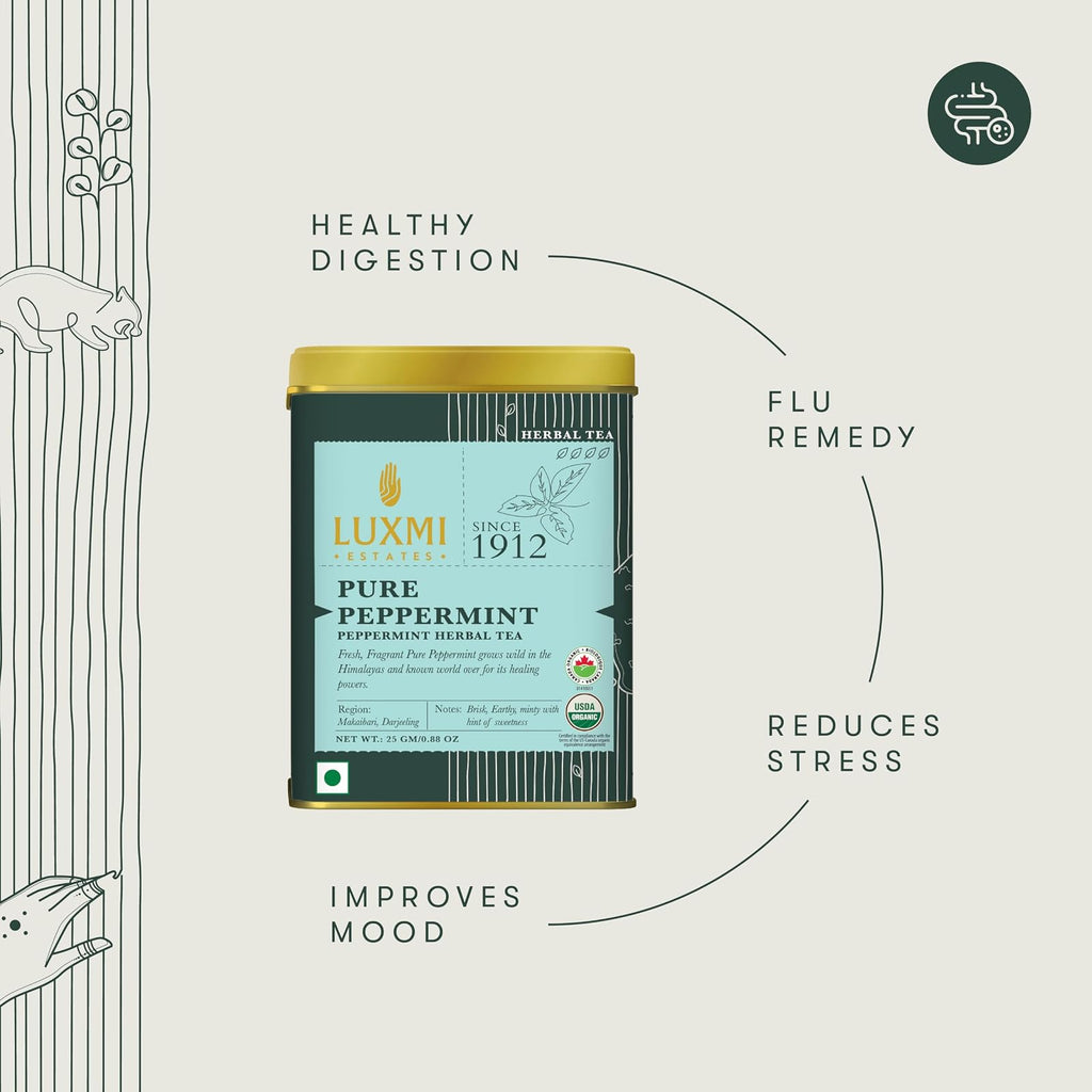 natural peppermint tea for digestion