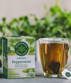 natural peppermint tea for wellness