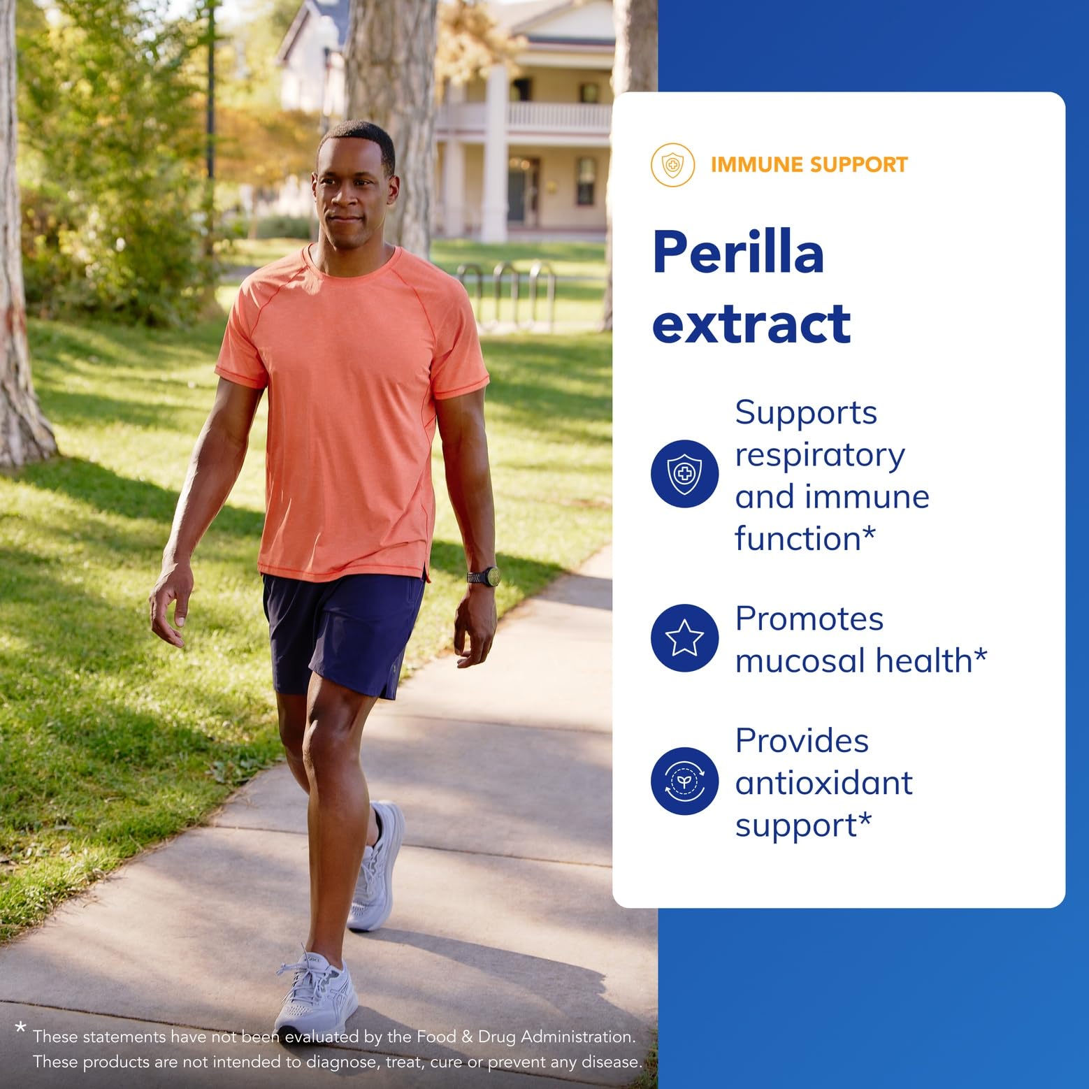 Natural perilla extract for allergy relief