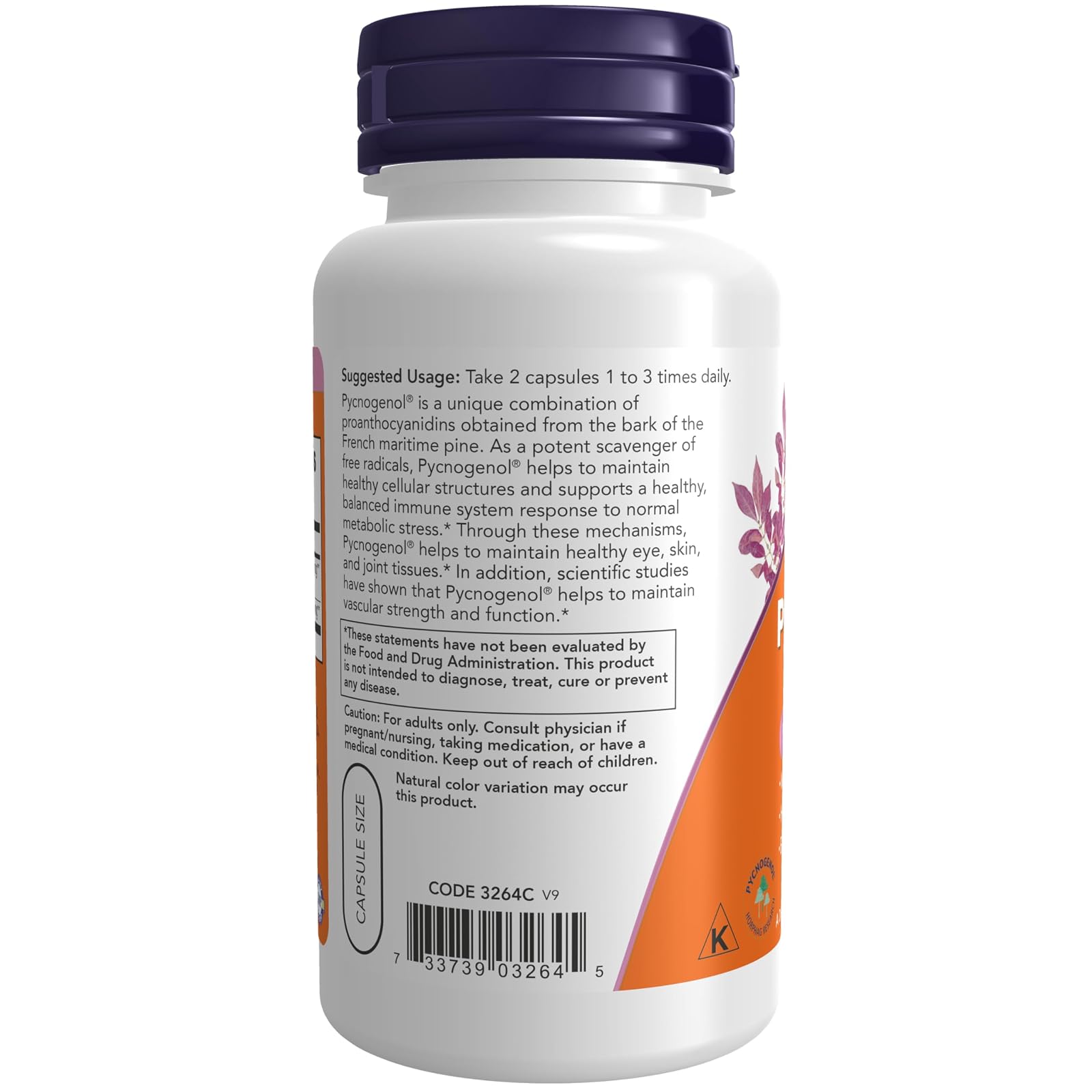 natural pine bark extract supplement