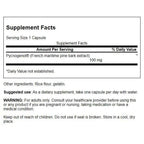 natural pine bark extract supplement