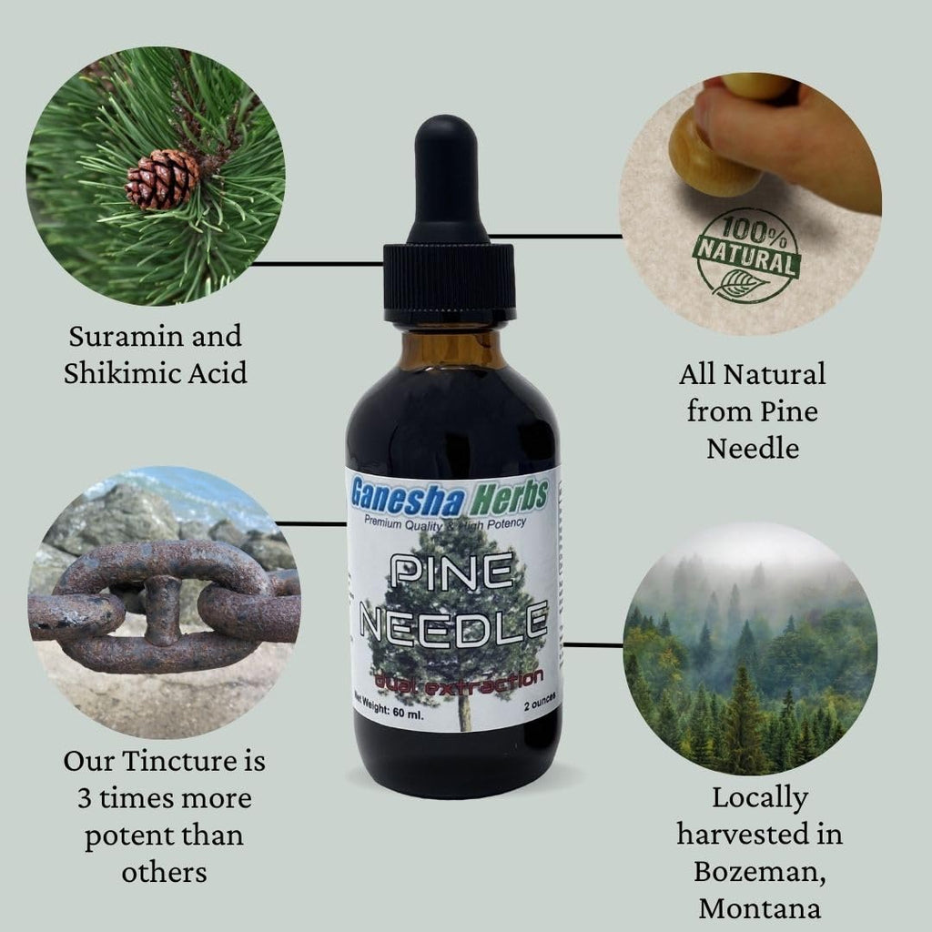 natural pine needle extract benefits