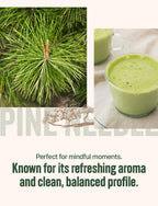 natural pine needle powder for tea