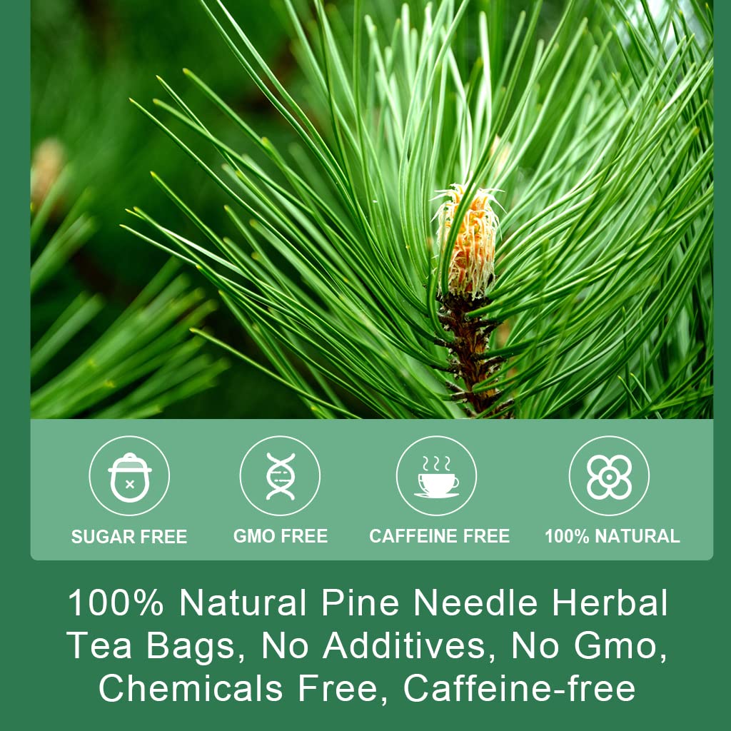 natural pine needle tea for wellness