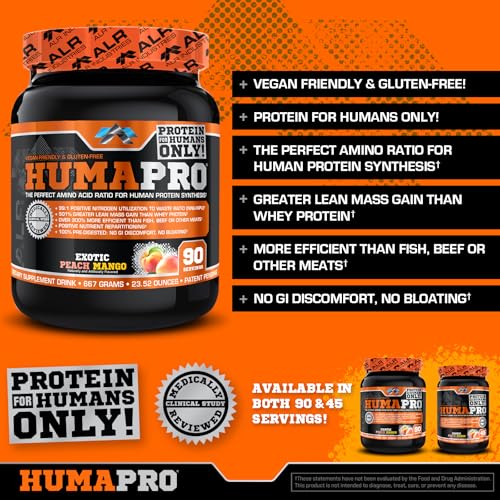 natural plant based protein powder