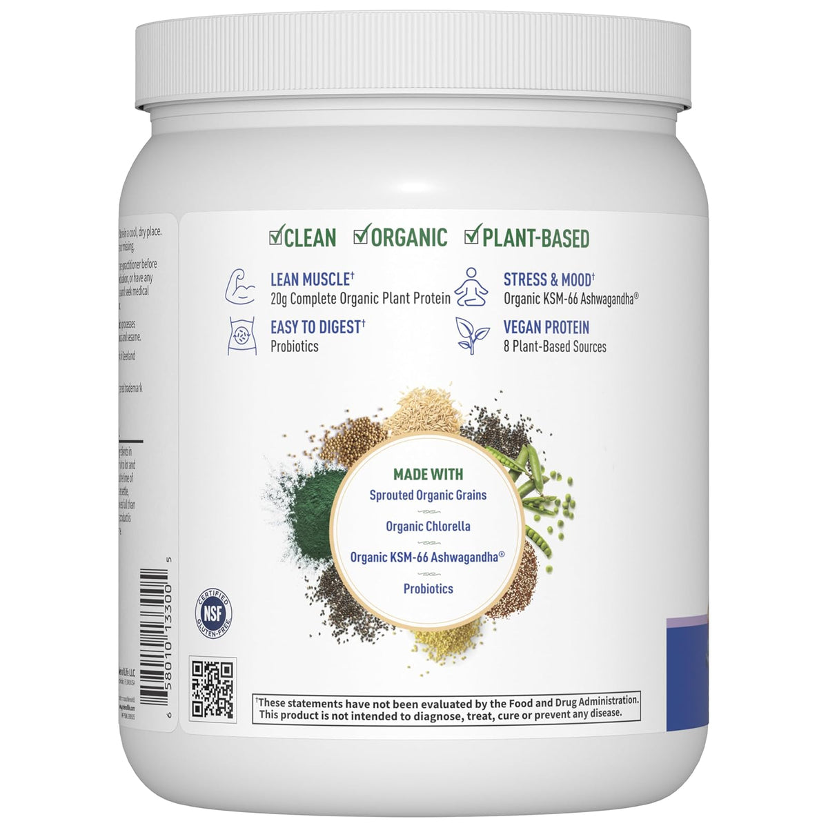 natural plant based protein powder