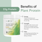 natural plant based protein