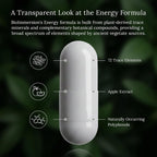 Natural plant-based trace mineral supplement