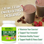 natural plant protein for athletes
