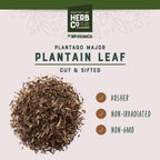 natural plantain leaf tea for relaxation