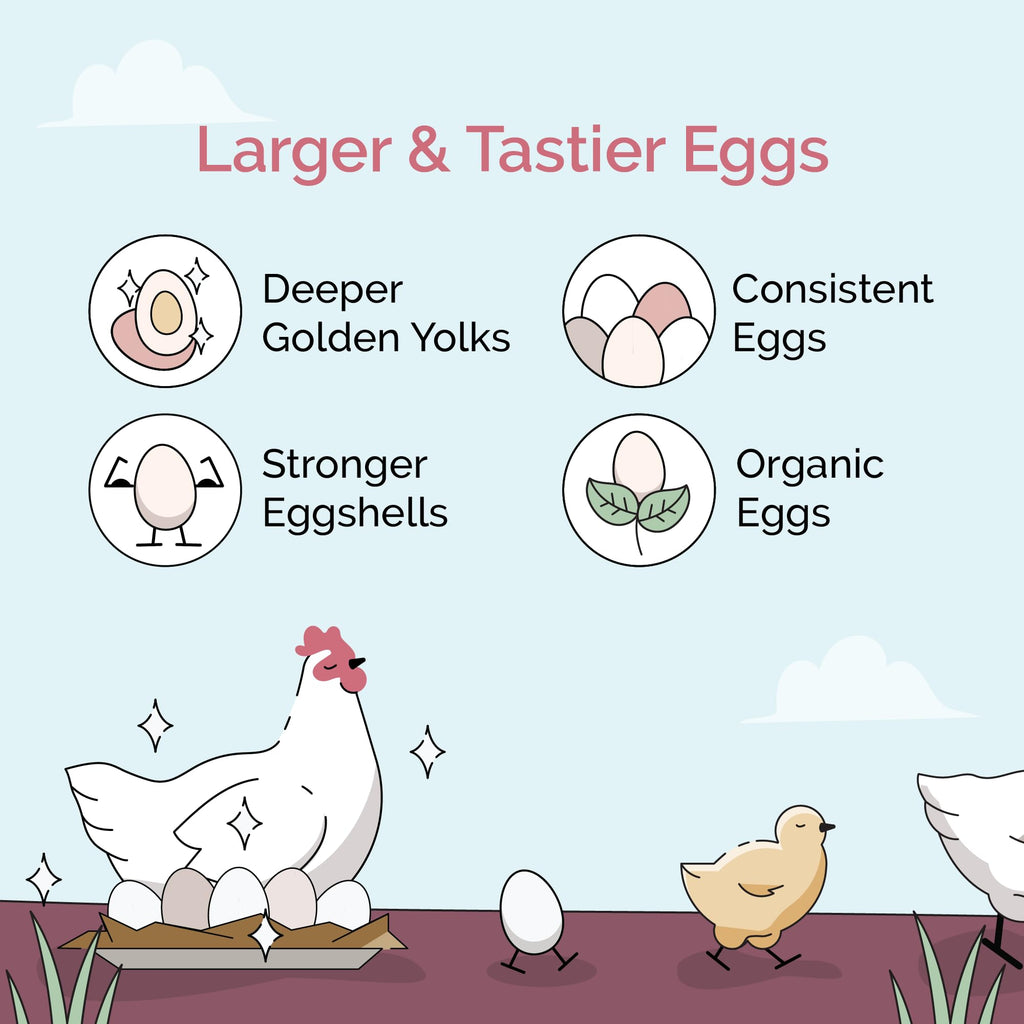 natural poultry feed for strong eggshells