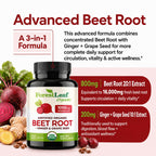 natural pre-workout supplement with beetroot