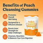 natural prebiotic fiber for digestion