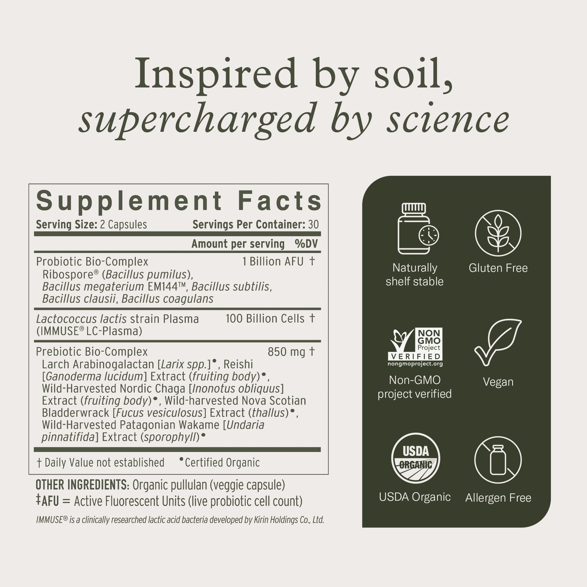 natural prebiotic for healthy gut flora