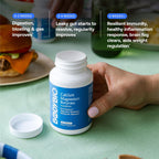 Natural prebiotic source for digestion