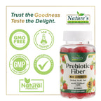 natural prebiotic support for gut health