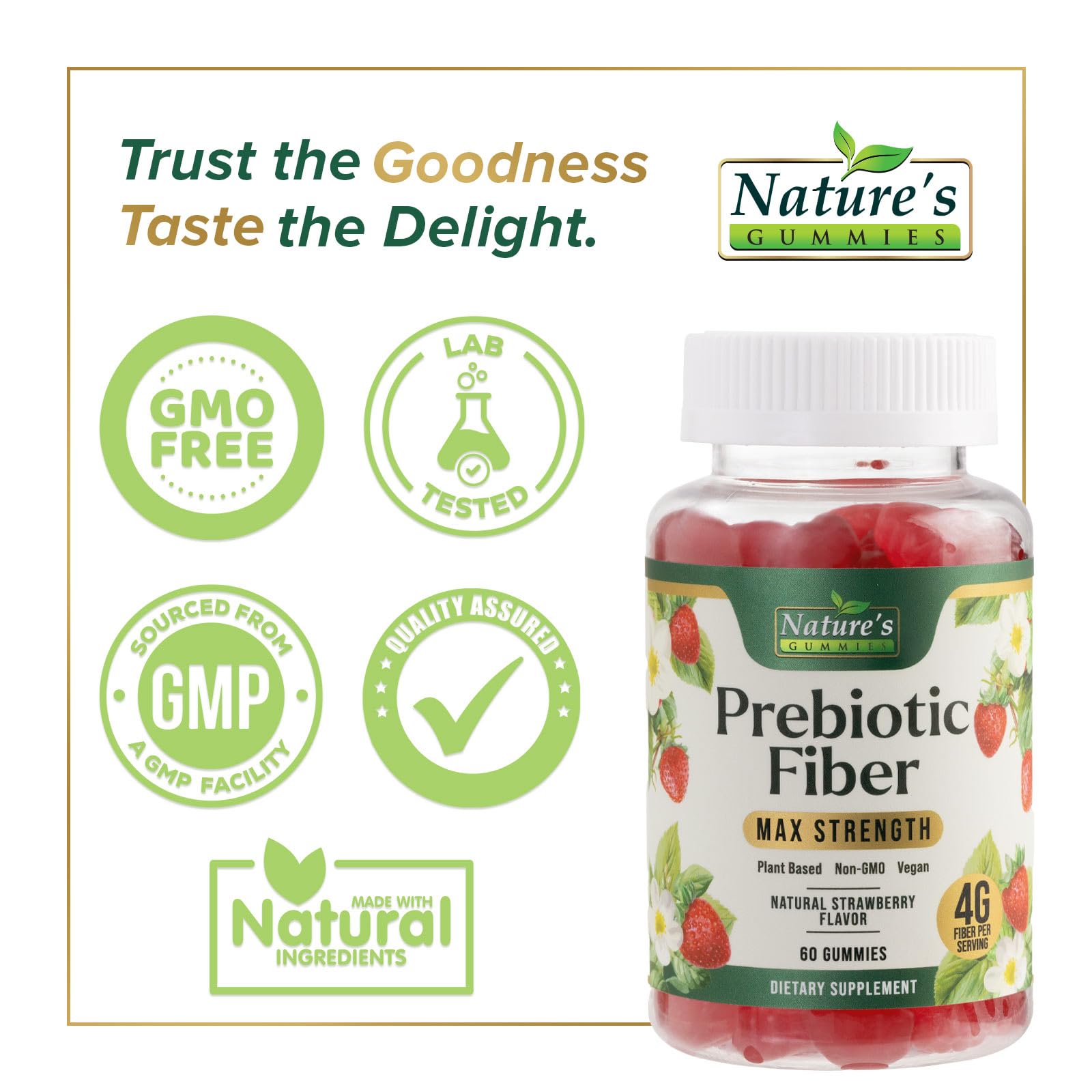 natural prebiotic support for gut health