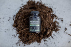 natural prebiotics and probiotics blend