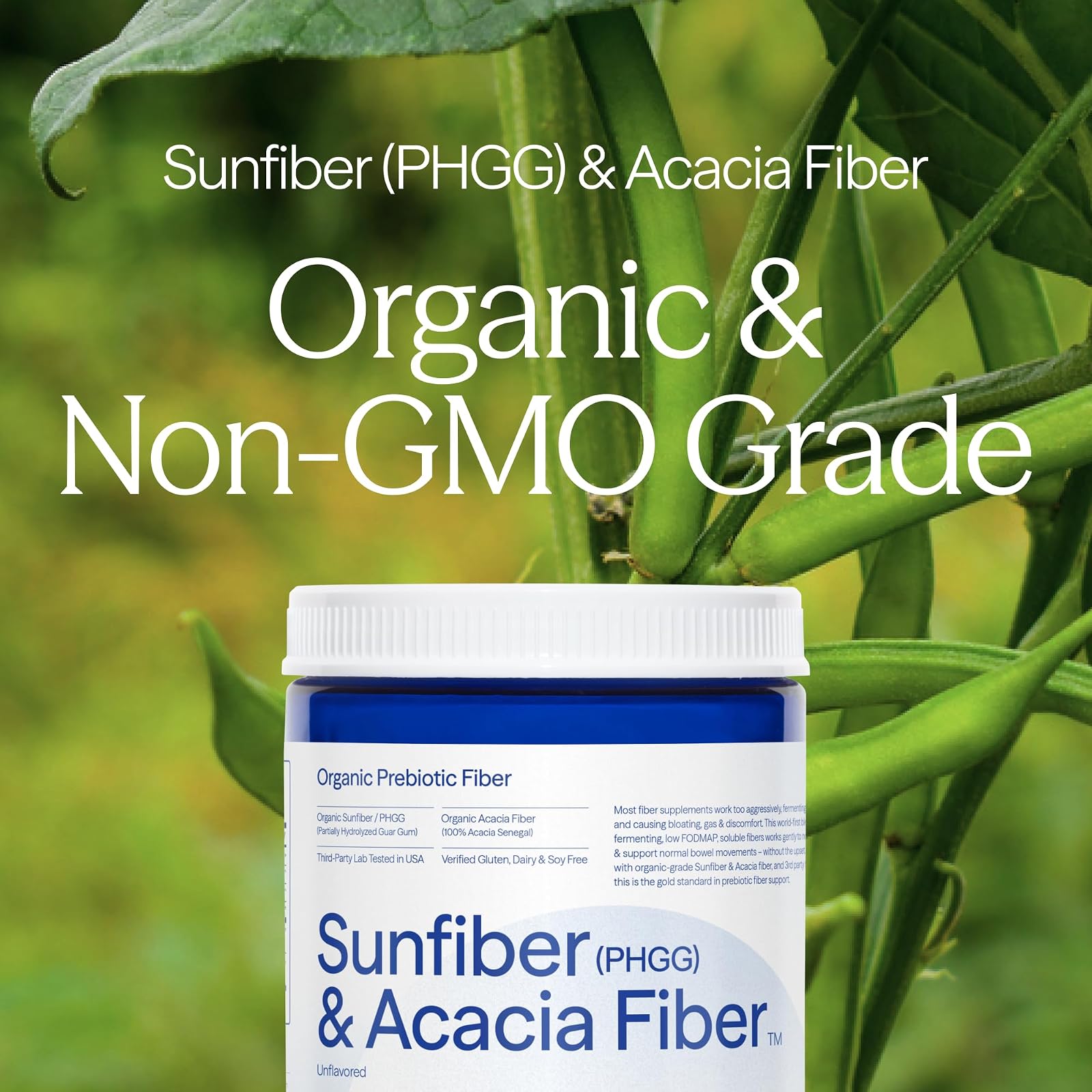 natural prebiotics for daily wellness