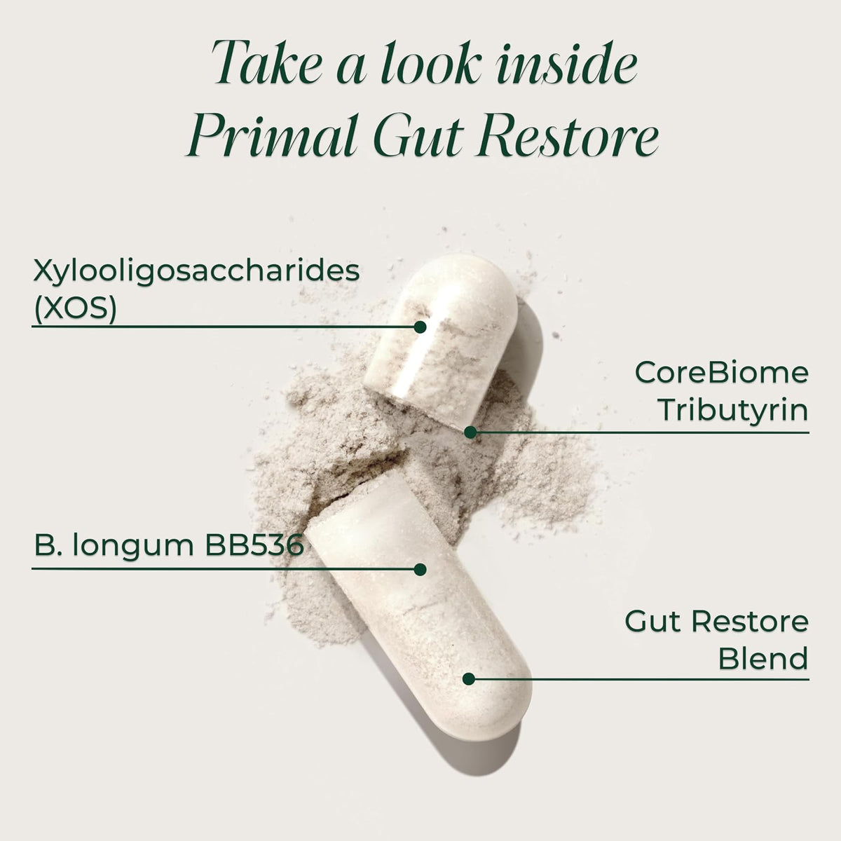 natural prebiotics for digestive support