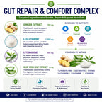 Natural prebiotics for gut health