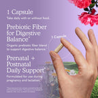 natural prenatal probiotics for moms