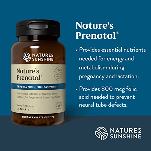 natural prenatal vitamins for fetal development