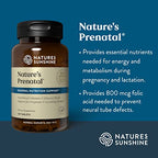 natural prenatal vitamins for fetal development