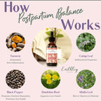 natural prenatal vitamins for new moms