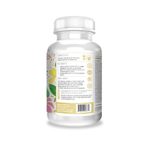 natural prenatal vitamins for pregnancy
