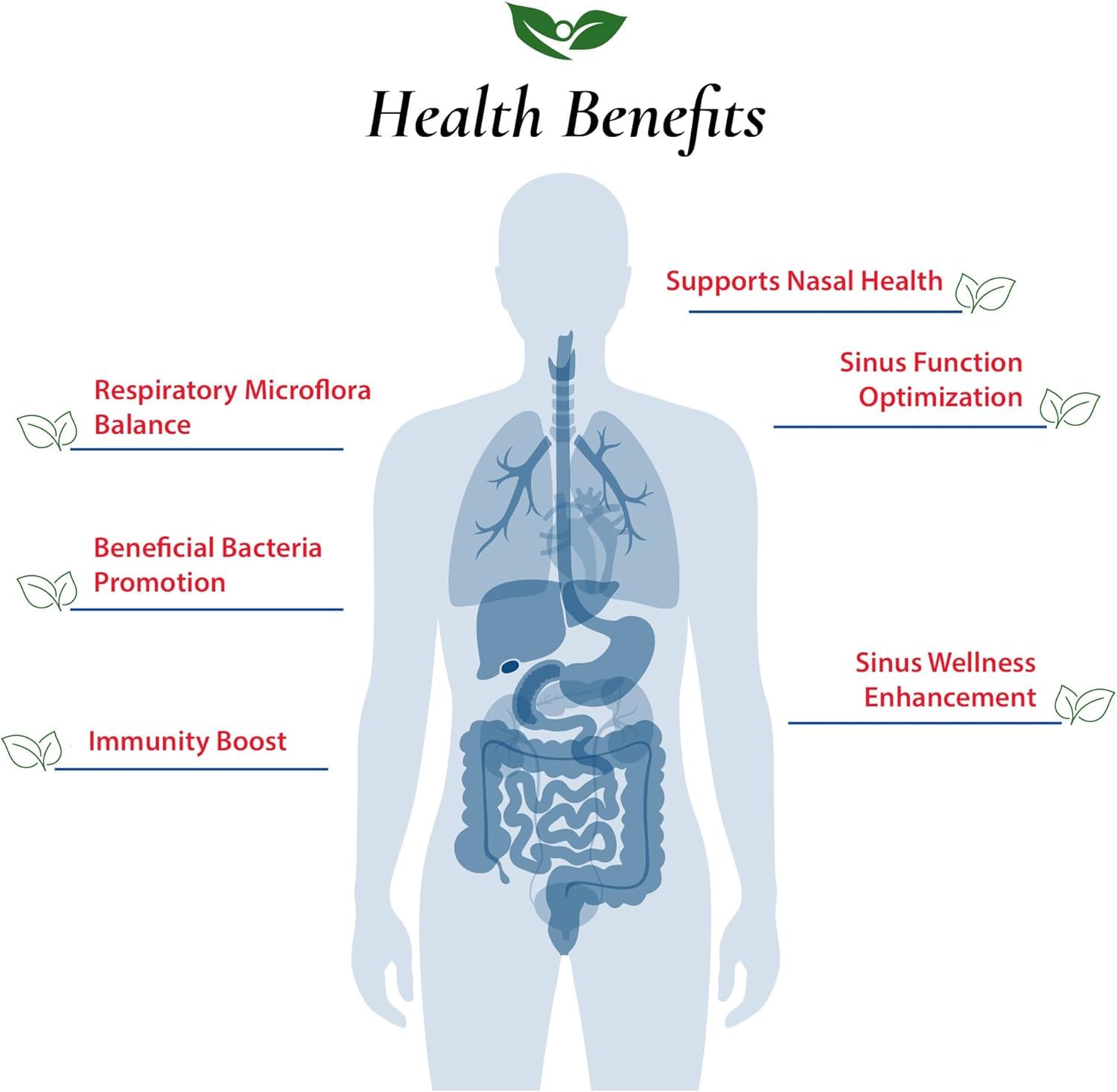 natural probiotic for gut balance