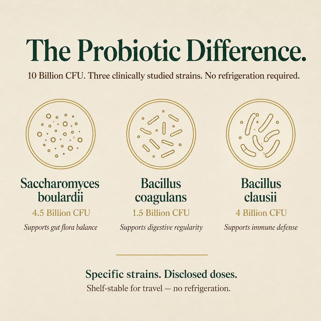 natural probiotic for gut health