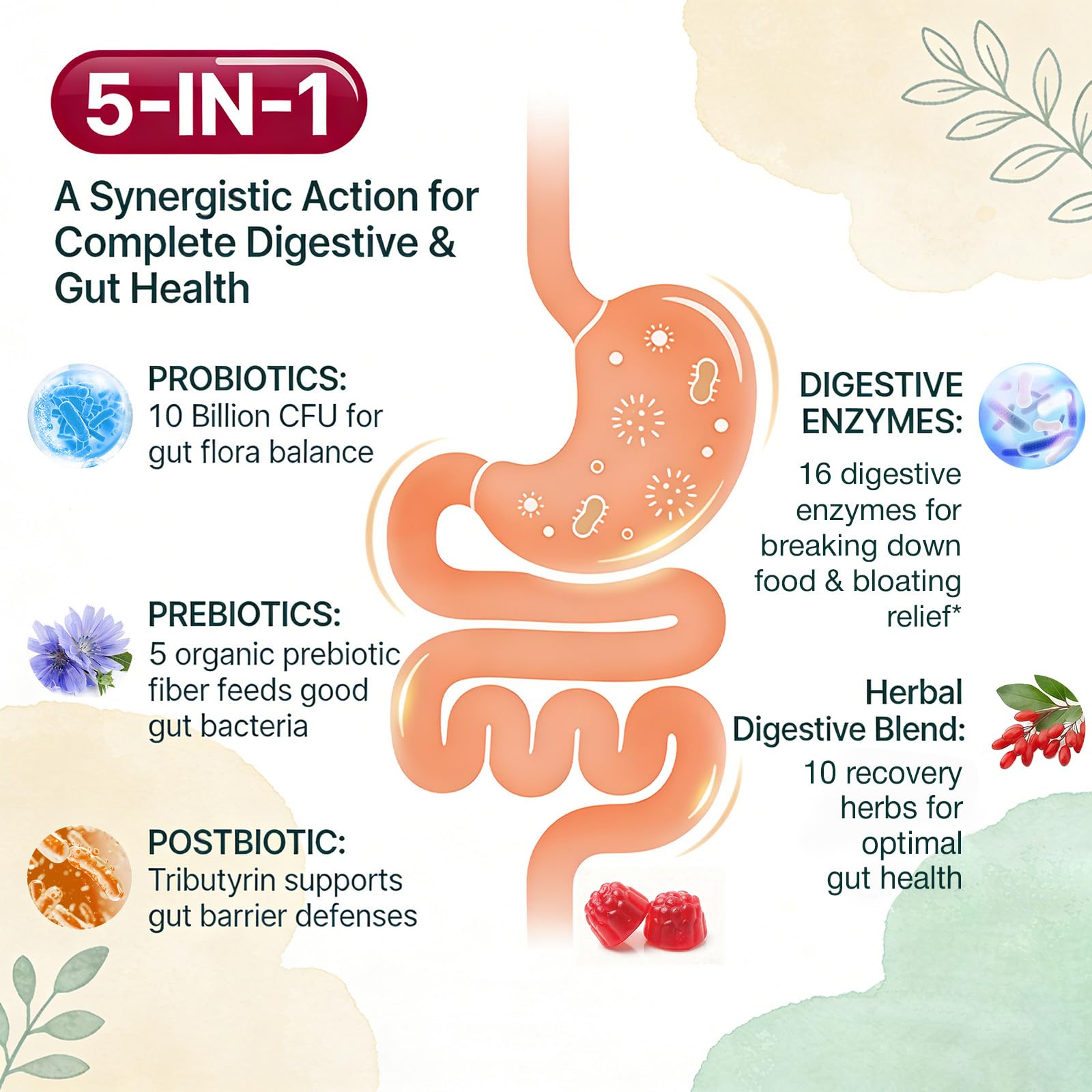 natural probiotic gummies for gut health