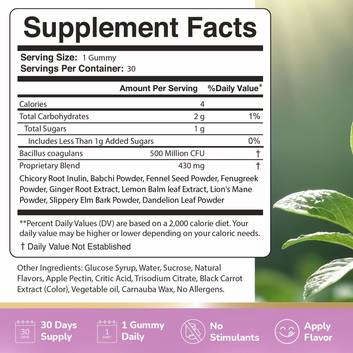 Natural probiotic gummies for gut health