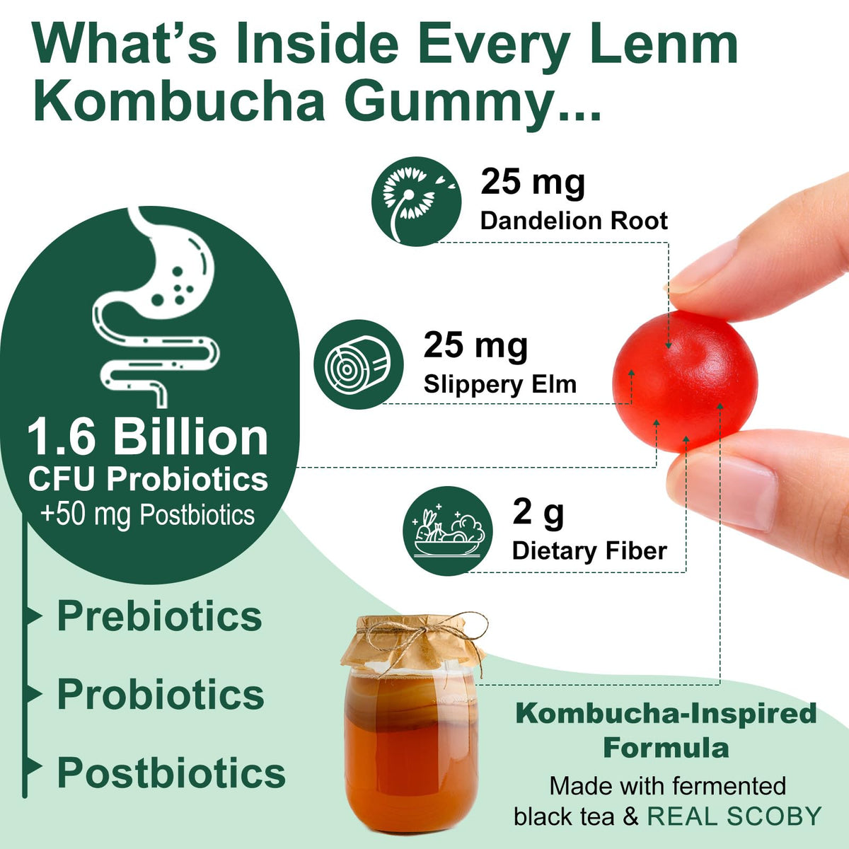Natural probiotic gummies for wellness