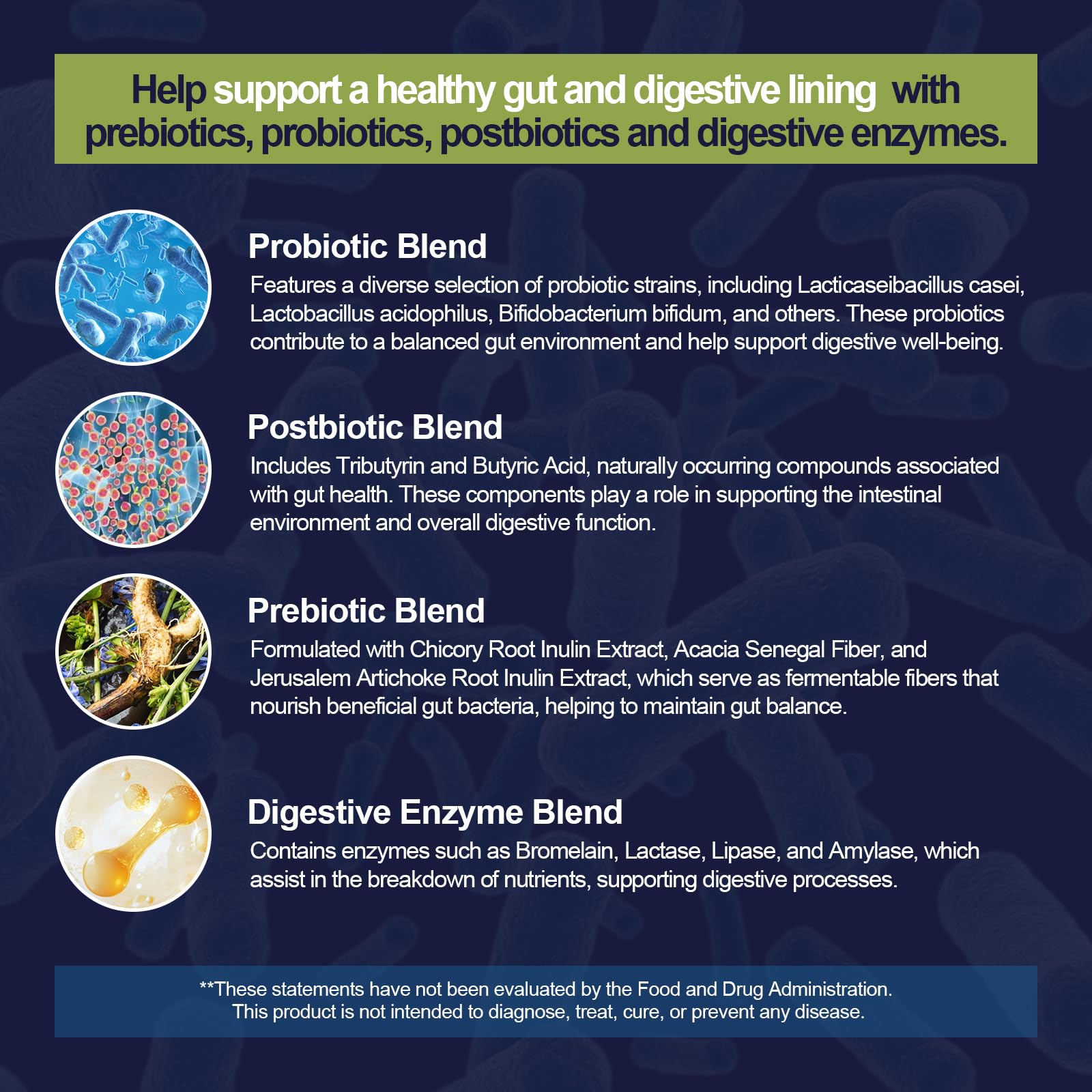 natural probiotic prebiotic enzymes blend