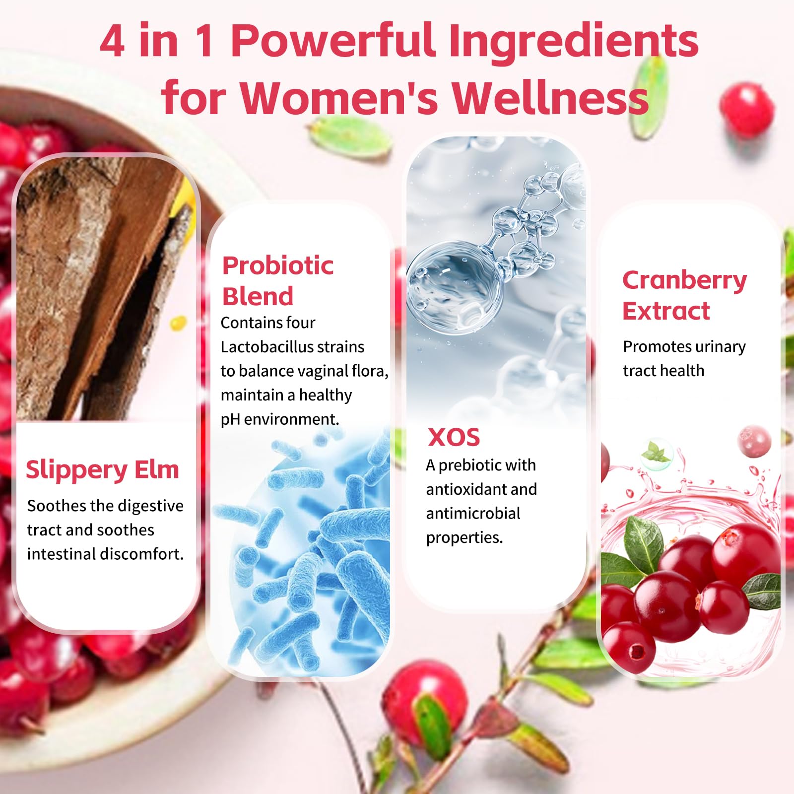 natural probiotic support for gut health