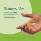 natural probiotics for daily digestion