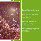 natural probiotics for daily wellness