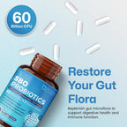 natural probiotics for daily wellness