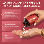 natural probiotics for daily wellness